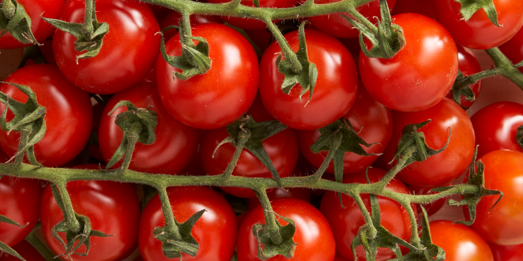 Rode tros-cherrytomaat - Verse Oogst