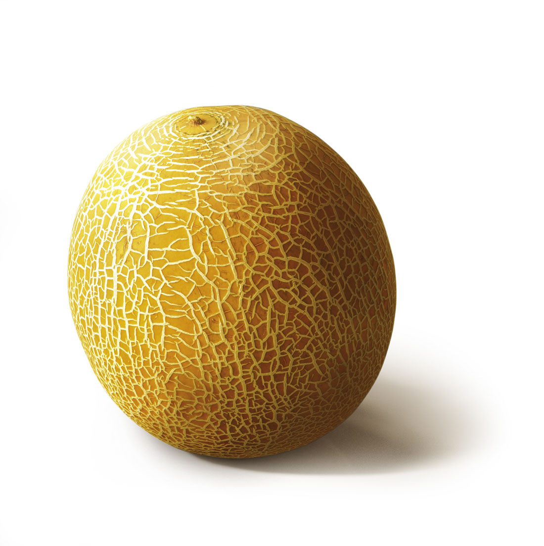 Galia - Verse Oogst