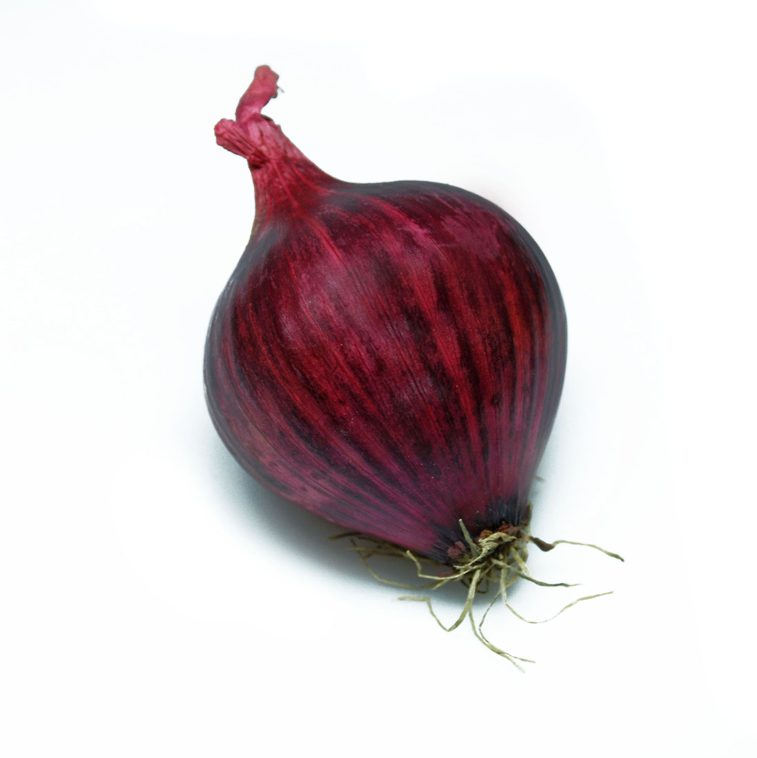 Rode ui - Verse Oogst